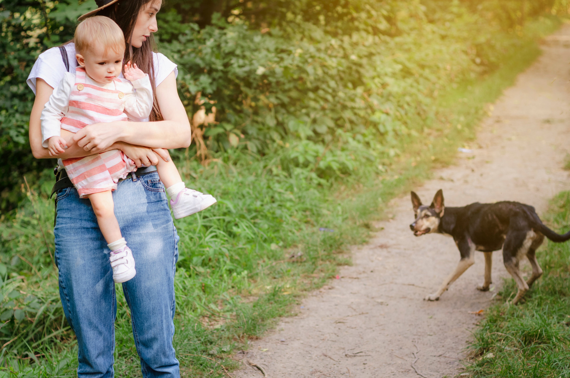 Why are some people afraid of animals?