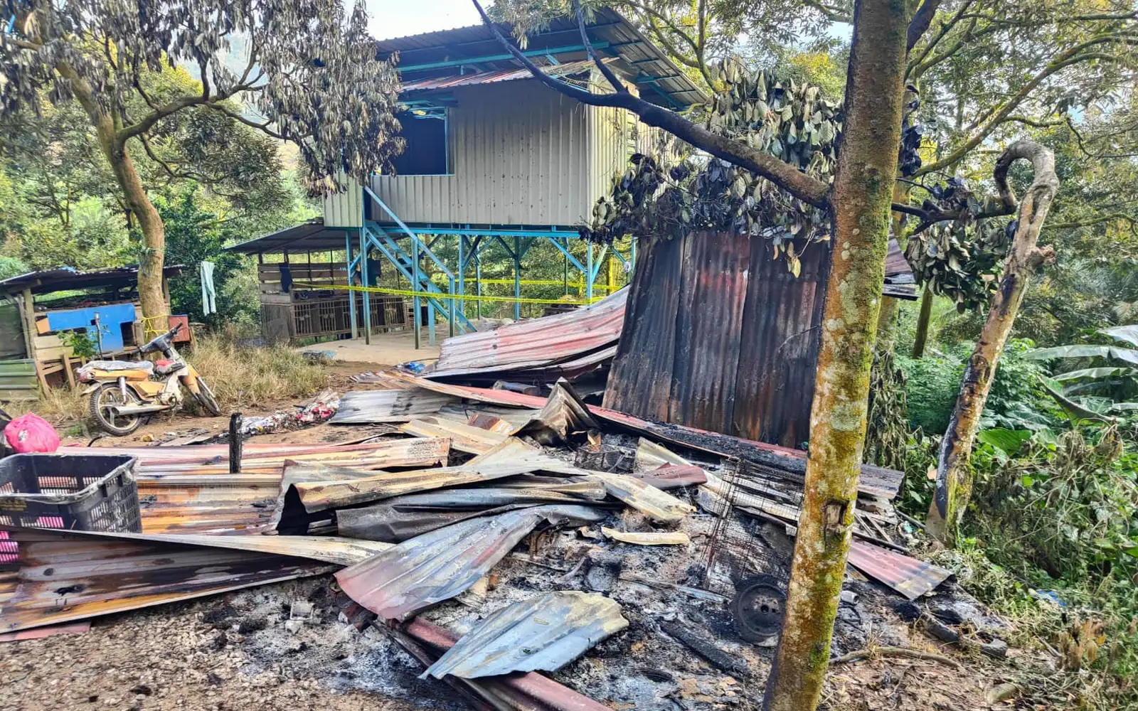 NGO launches petition supporting Pahang’s crackdown on illegal durian farms