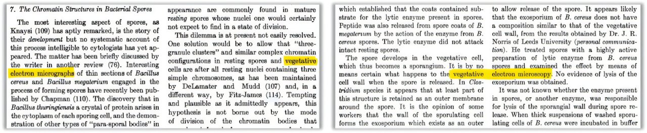 A weird phrase is plaguing scientific papers—and we traced it back to a ...