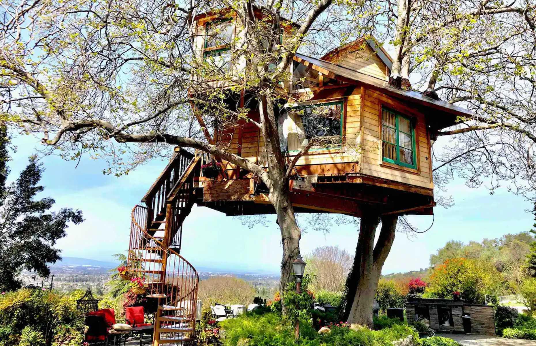 American Treehouse Homes You Won't Believe Are Real