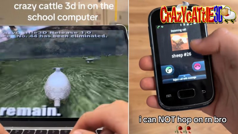 What Is 'Crazy Cattle 3D' And How Do I Play It? Memes About The Viral ...