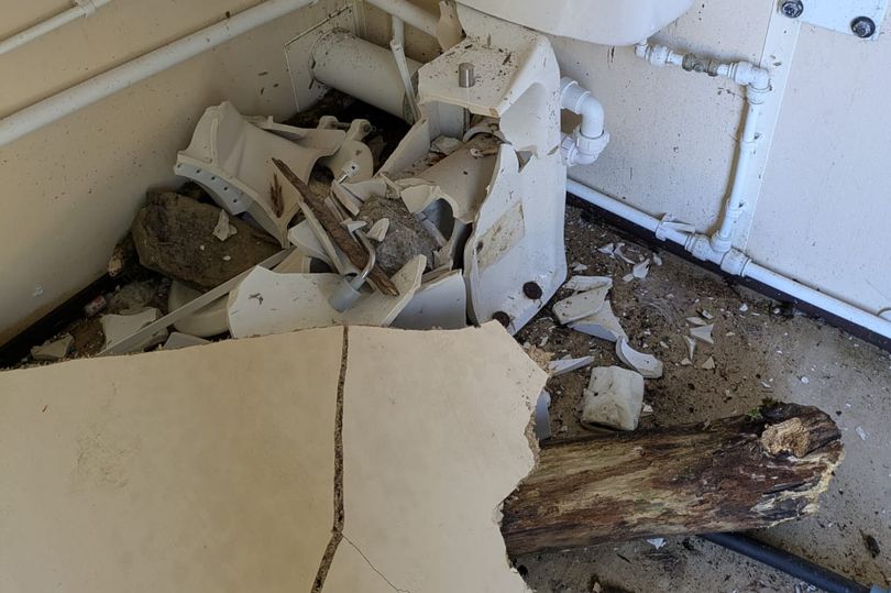 Pensioners who devote life to owls 'devastated' after sanctuary ruined ...