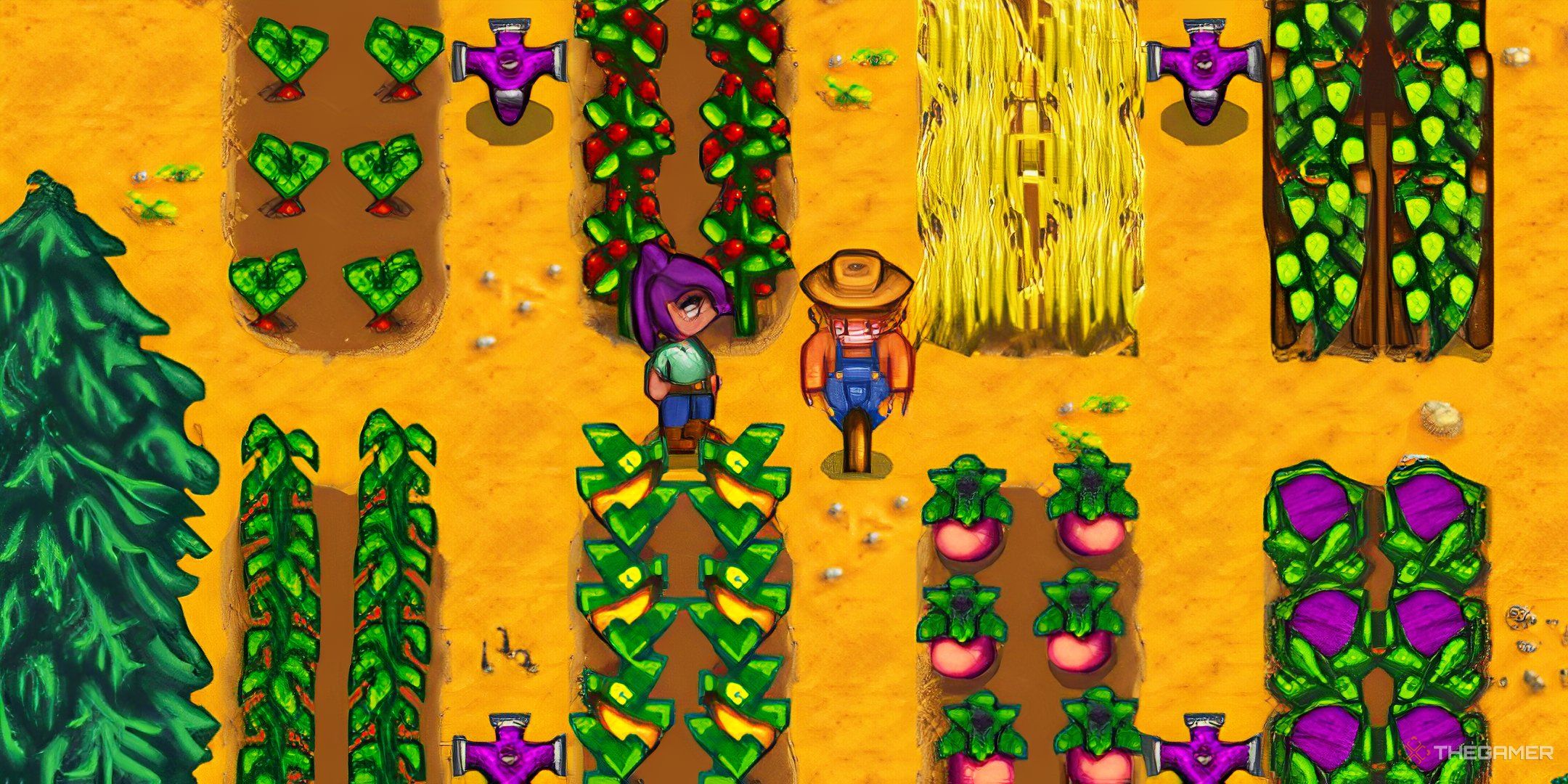 What Is The Scarecrow Range In Stardew Valley?