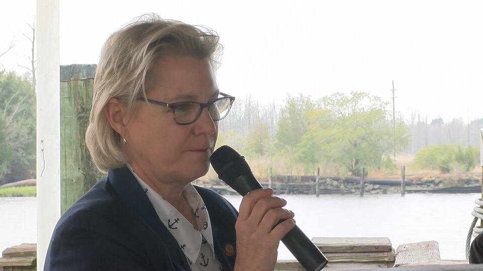 Rep. Deb Butler of Wilmington calls for reform in state budget process