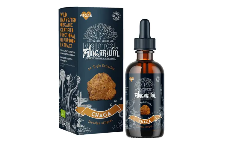 Best chaga mushroom teas and supplements to support your health