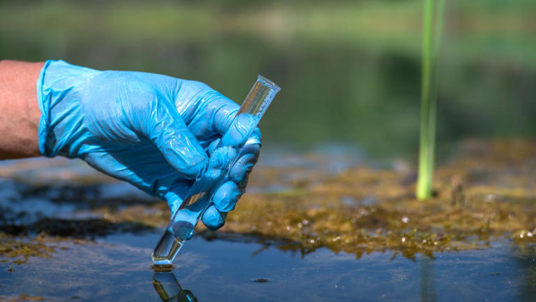 Buried Steam tool shows how much you've spent on your account in your ...