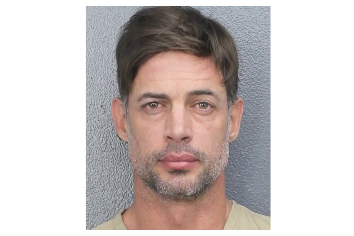 Actor William Levy speaks out after arrest on disorderly intoxication ...