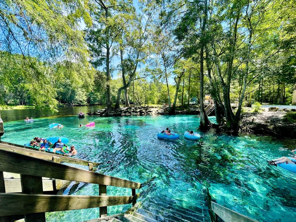 This Florida Spring with “Visibility Forever” is a Hotspot for Divers ...