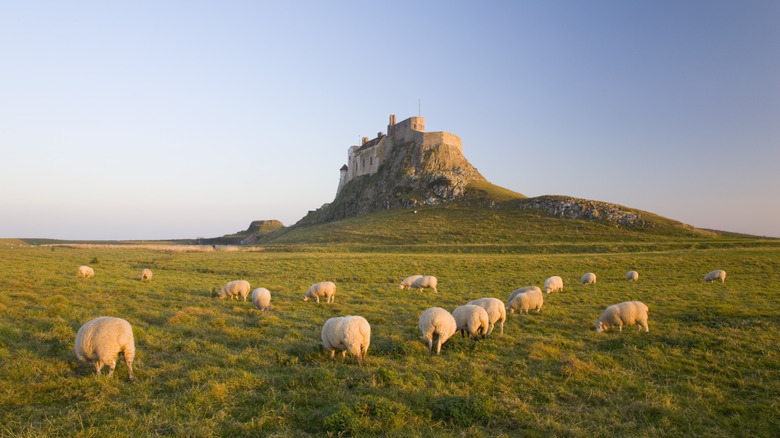 England's Northernmost County Boasts Scenic Landscapes, Castles, And ...