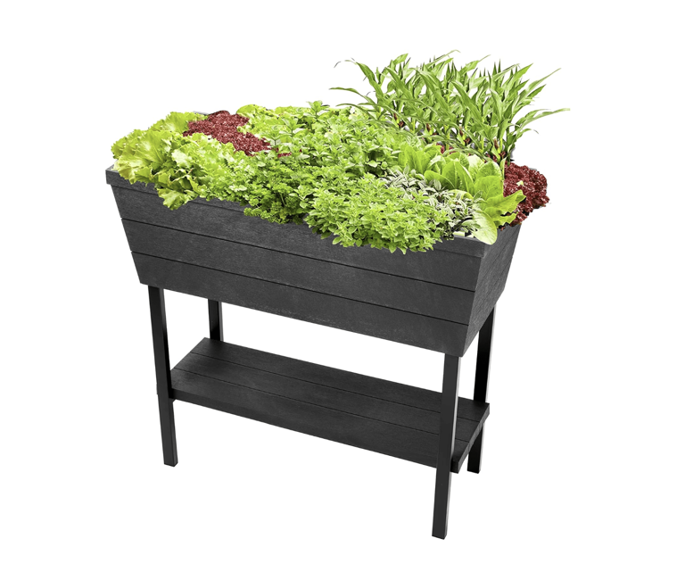 Are you a gardening newbie? Try a raised garden bed
