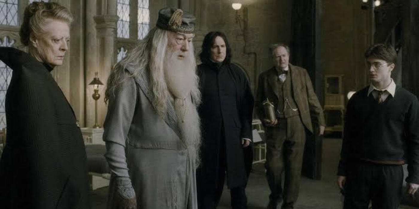 ‘Harry Potter’ Series Cast Unveiled: Meet New Hogwarts Professors