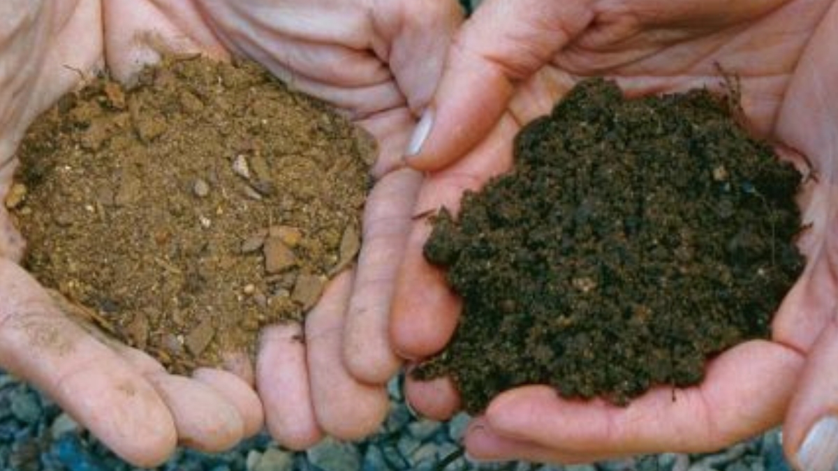 Structural fill dirt vs. topsoil: When to use each