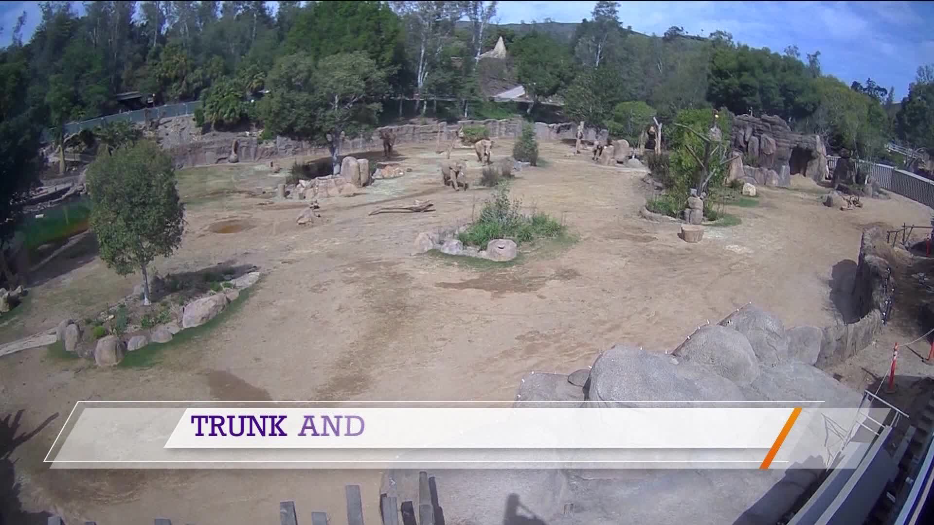 Math Discovery Day Hits Fayetteville Library