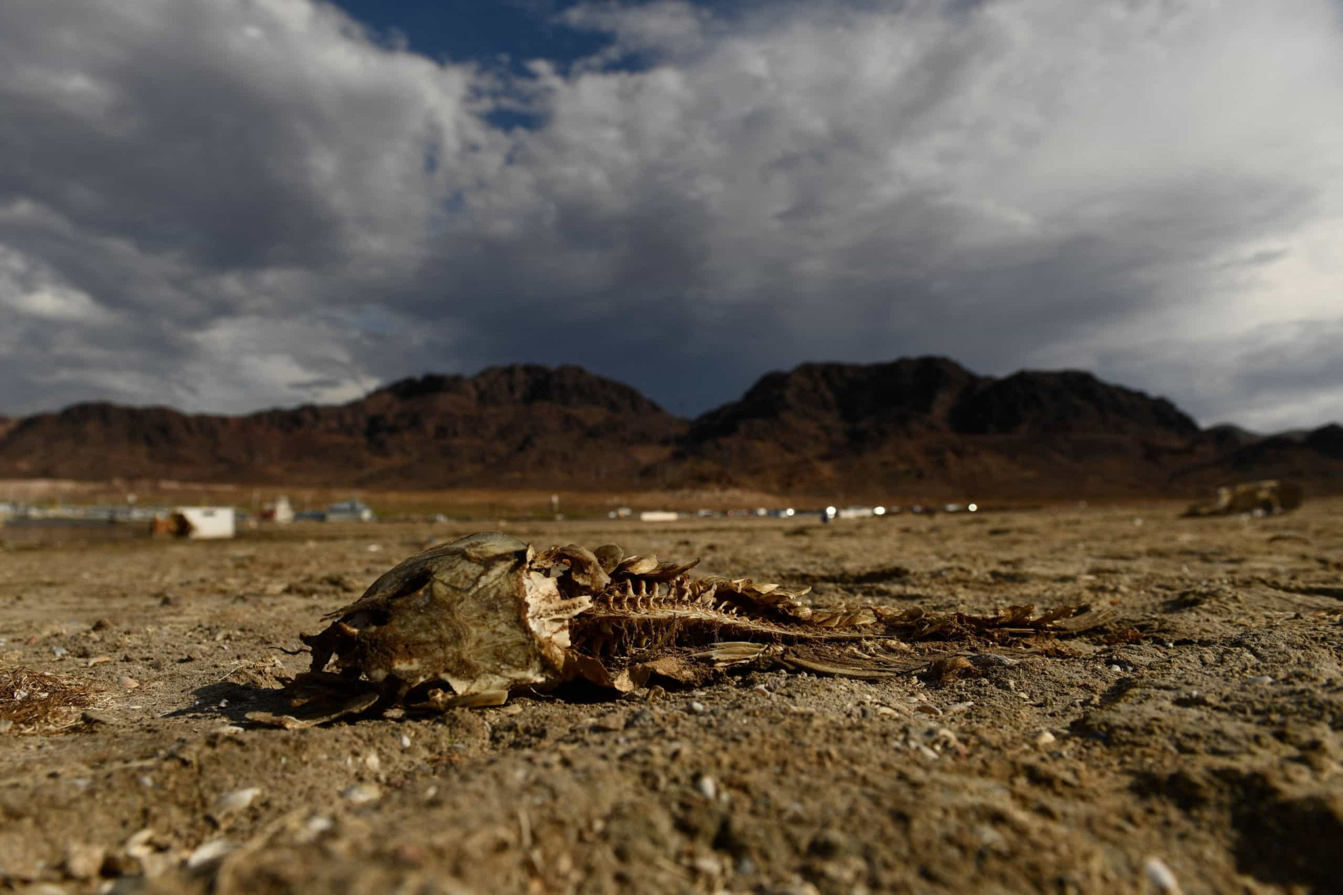 The most endangered lakes in the world