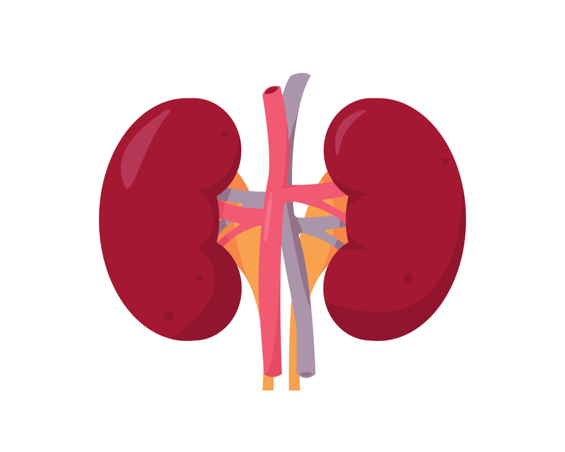 Are you taking care of your kidneys?