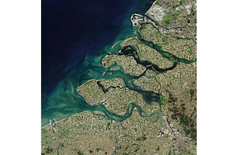 Estuaries around the world expected to become saltier in coming decades