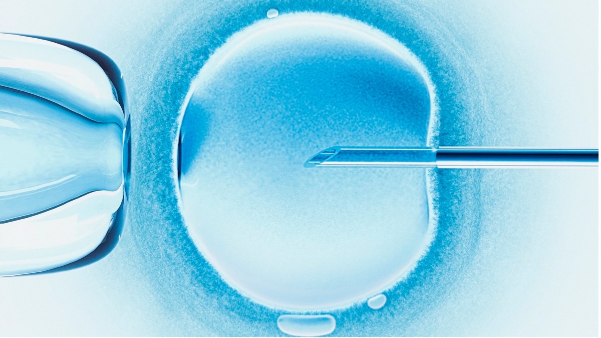 World's First 'Automated IVF' Baby Born, What Does it Mean for Future ...