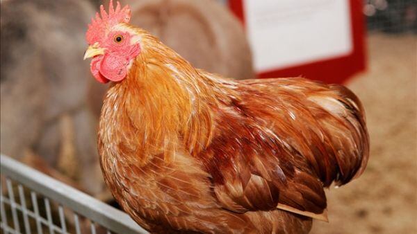 Grants available for Minnesota businesses wanting to expand ...