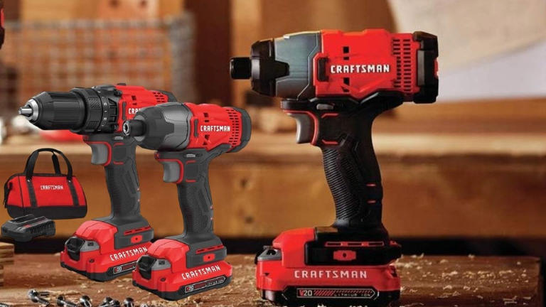 Gulbin Talks Fellow Wake Forest Product, MSU Legend K9