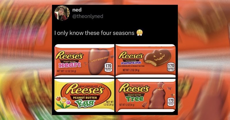 35 Memes for Springing into Spring