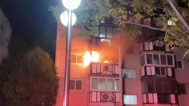 World’s most elusive squid? Scientists just filmed colossal squid alive ...