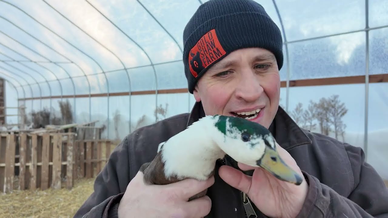 How to find happiness while living a farm life