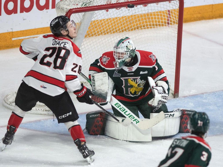 QMJHL PLAYOFFS: Huskies wearing down Mooseheads, take 3-0 series lead