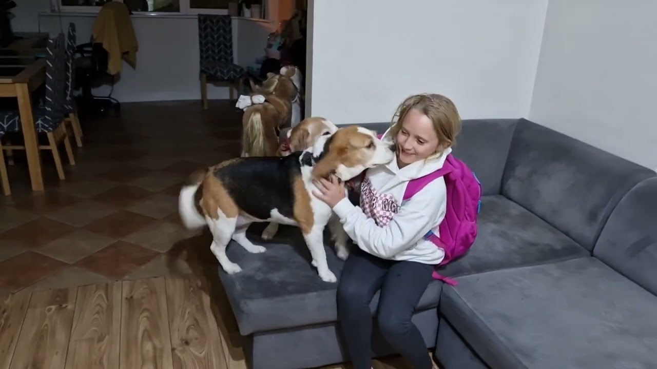 Watch this dog react to owner returning home