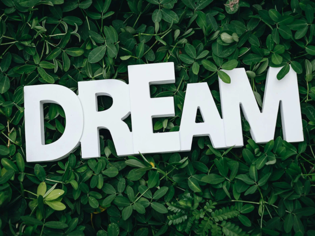 Can Dreams Predict the Future?