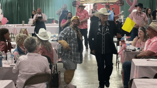 'Tough Enough to Wear Pink' luncheon draws crowd for cancer care ...