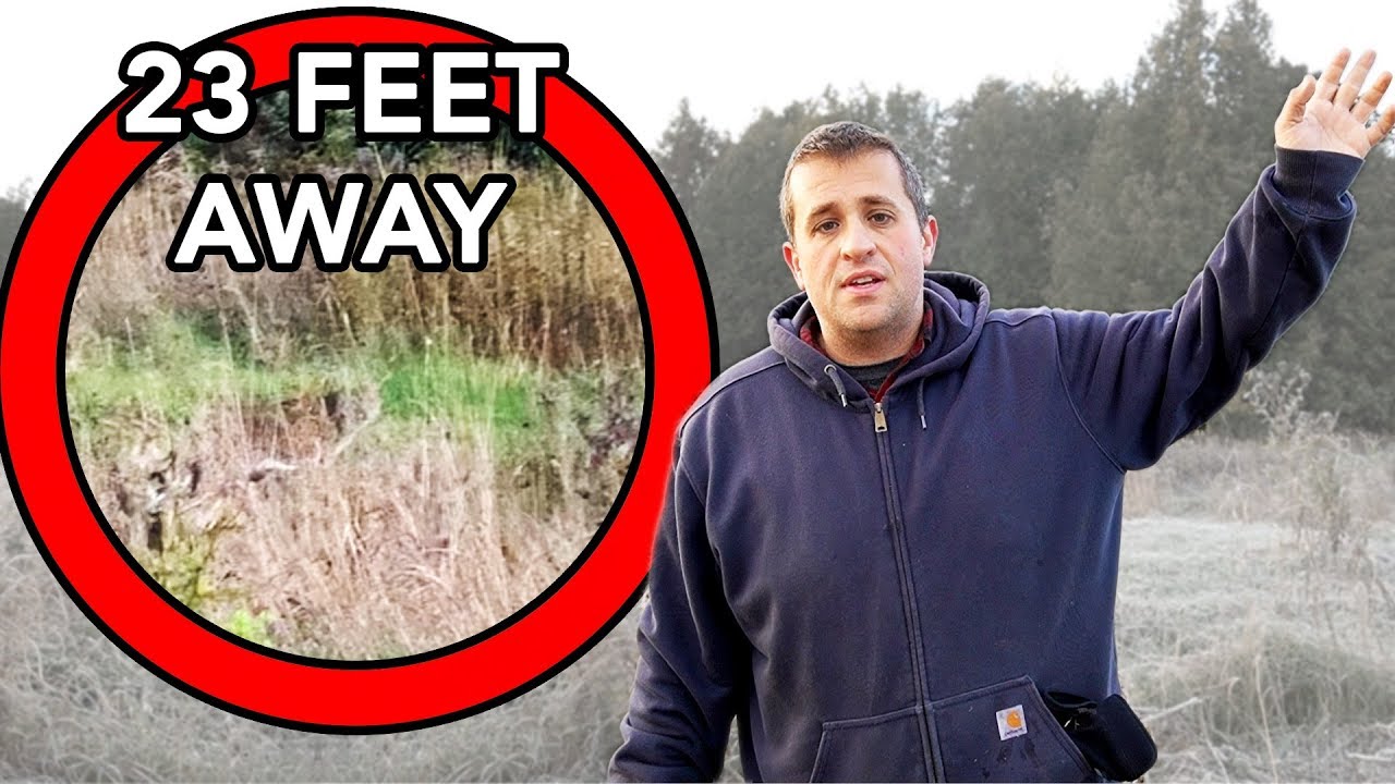 Bobcat Stalks Ducks and Challenges Our Farm Safety