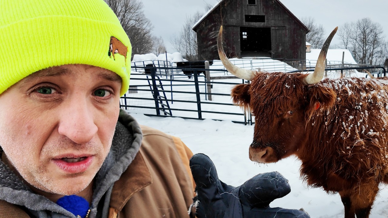 The biggest lie I ever told on the farm