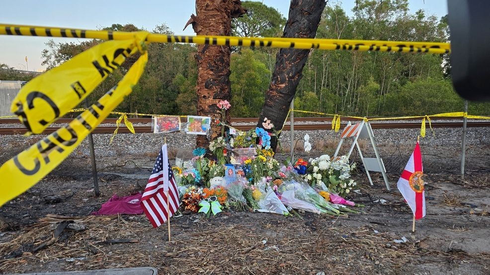 'Something just dropped from the sky': 911 calls released in fatal Boca ...