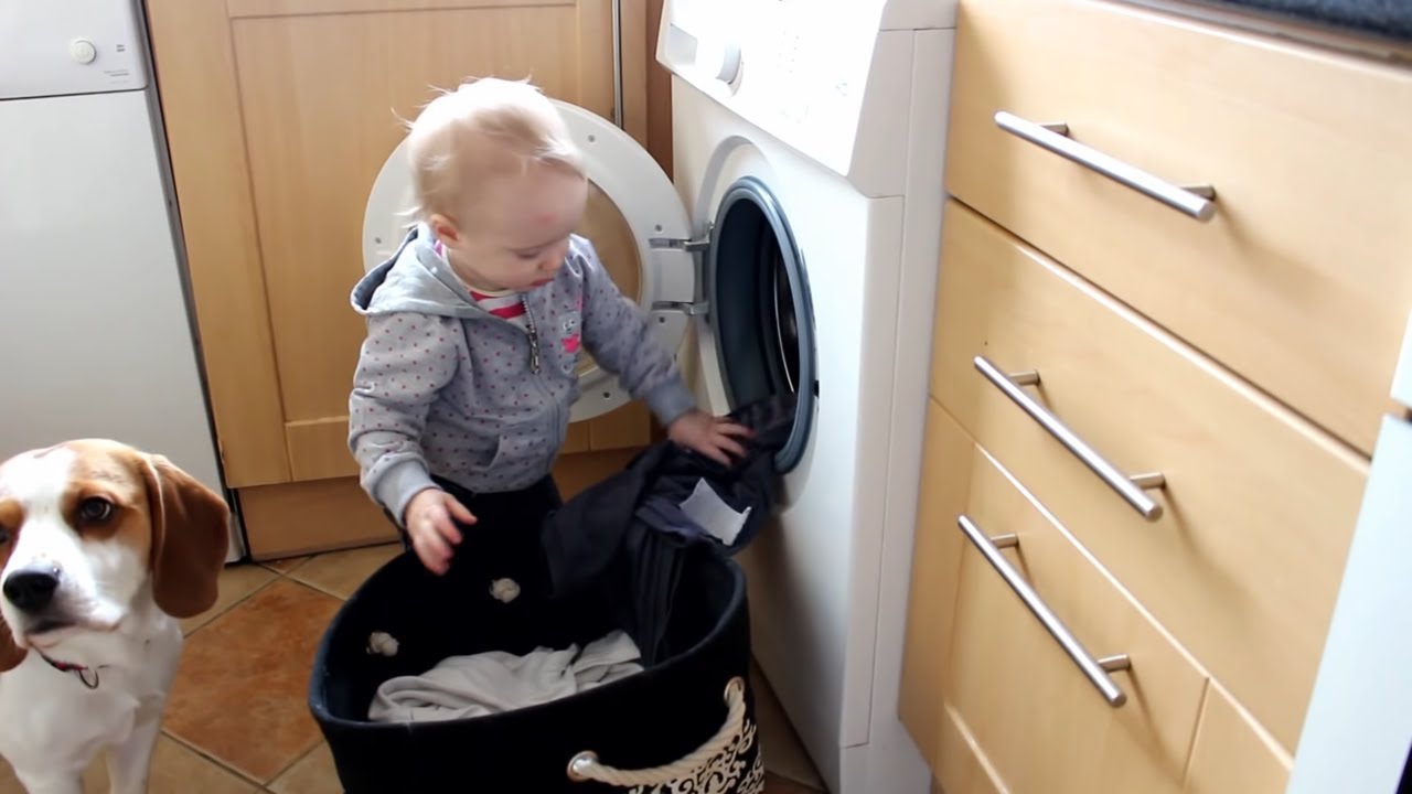 Dog and baby turn laundry into epic adventure