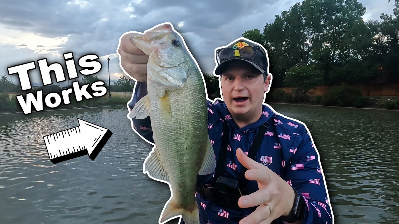 Summer Bass Fishing Tips for Catching More Fish in Ponds! (Pond Hopping ...