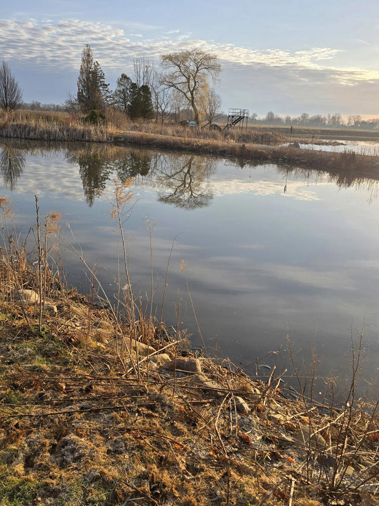Keith McLean Conservation Lands