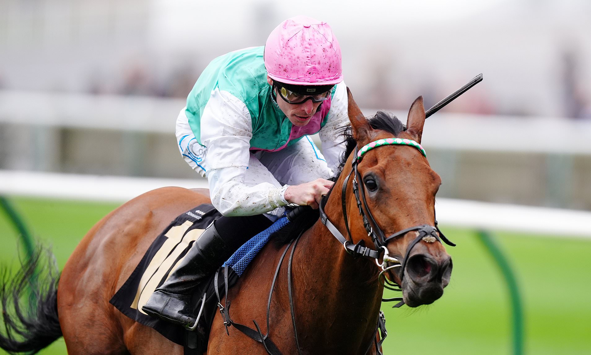 Robin Goodfellow's racing tips: Best bets for Wednesday, April 16