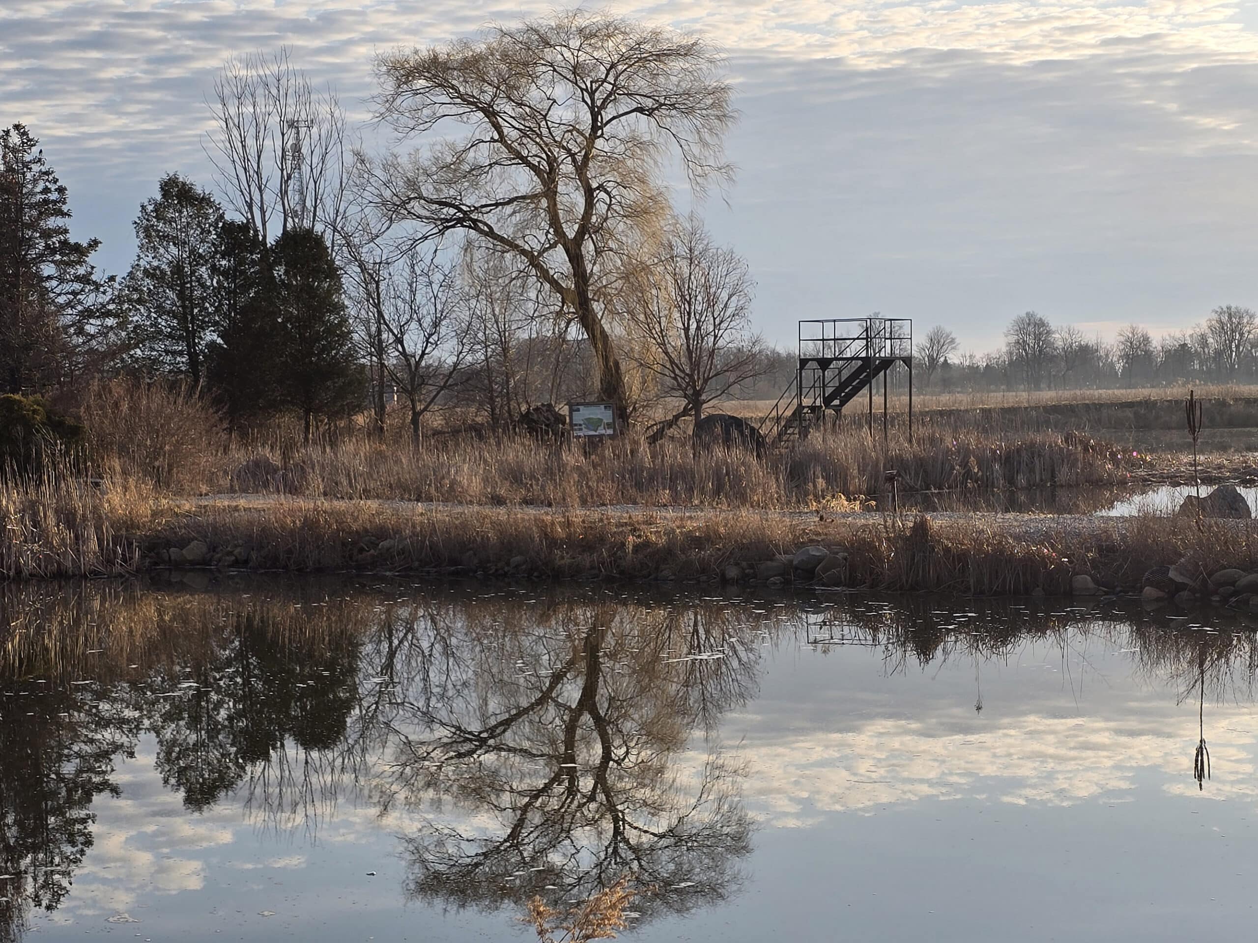 Keith McLean Conservation Lands