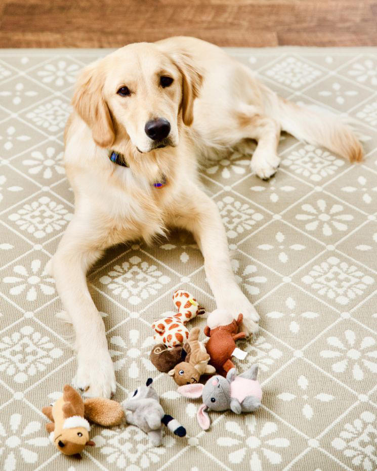 The Most Affordable Way To Make Your Carpet Smell Fresh And Clean