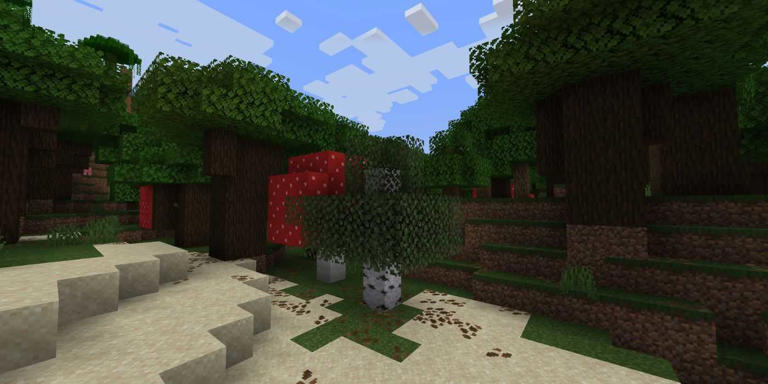 Minecraft: Wood Variant Locations