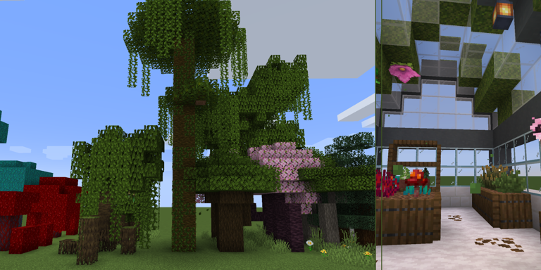 Minecraft: Wood Variant Locations