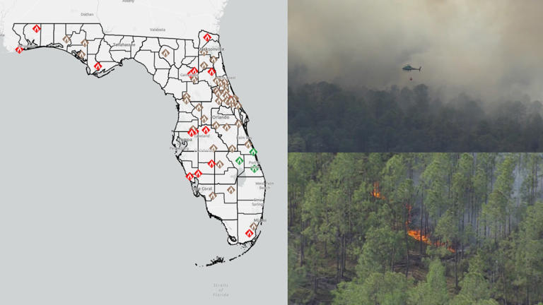 Powerline Fire: 270-acre wildfire burns in Volusia County; burn ban enacted