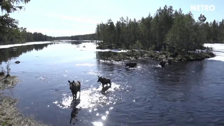 Montgomery County school closing after more than 60 years