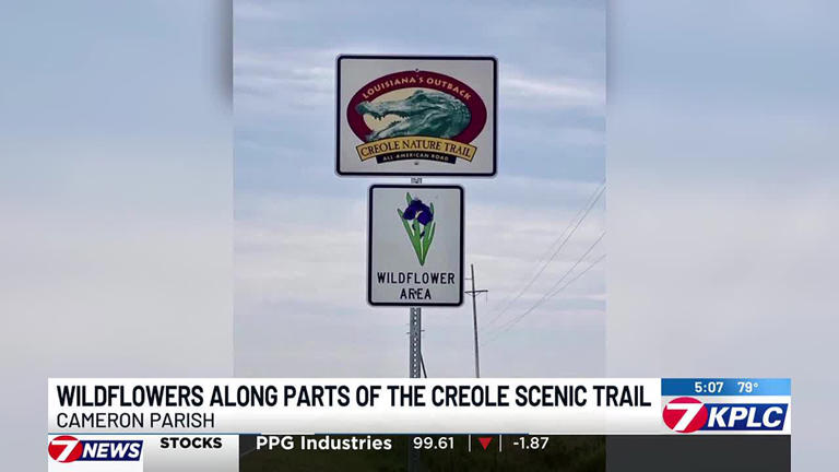 Parts of Creole Nature Trail designated as wildflower area