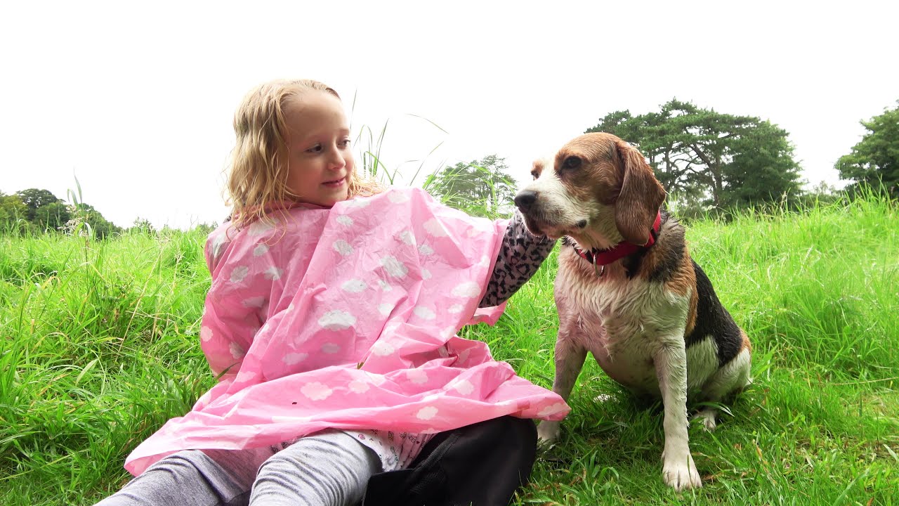Beagle waits anxiously for heart surgery update