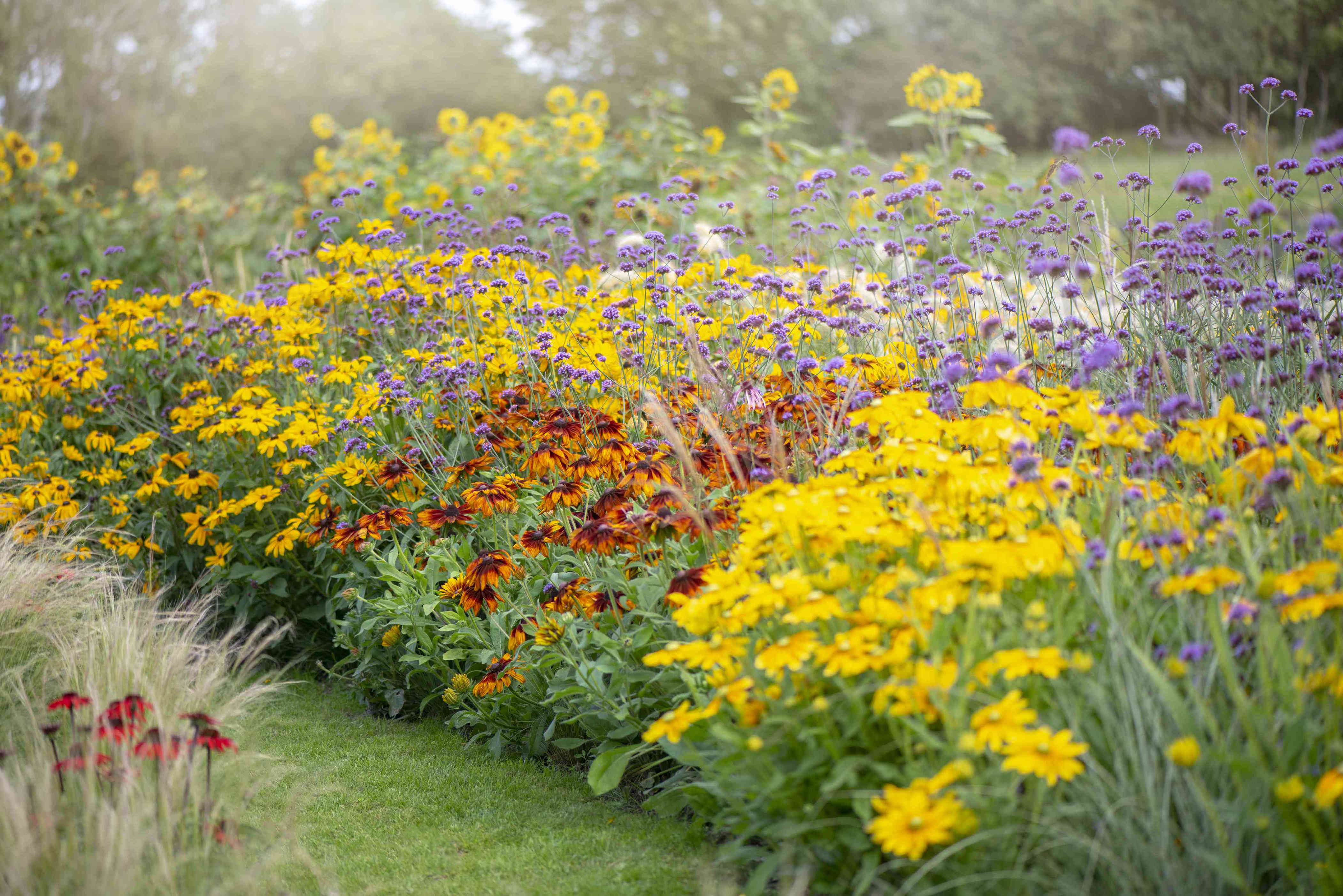 It's Almost Time to Plant Perennials—Why Pros Say You Shouldn't Wait ...