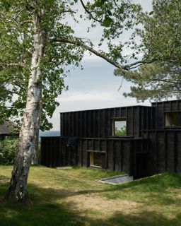 Charred Pine Brings a Dramatic Finish to a Coastal Cabin in Denmark