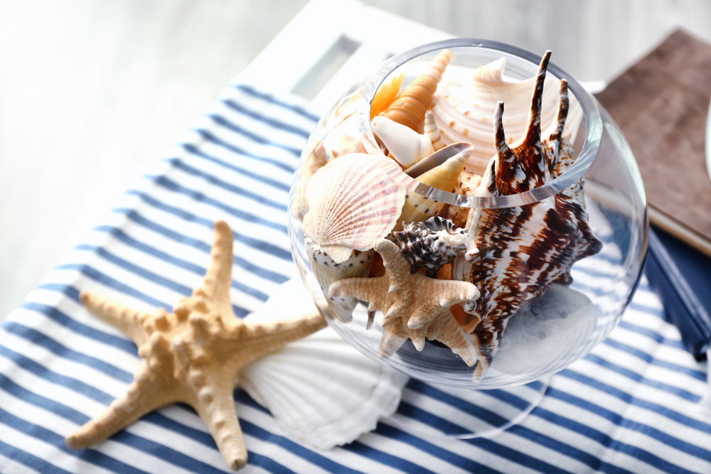 20 Ideas for Displaying Seashells and Beach Finds at Home