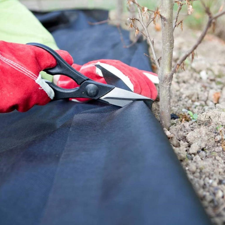 The Invincible Yard: 25 Ideas for Lazy Landscaping