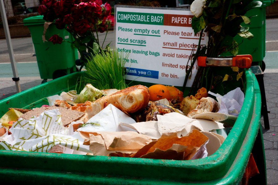 Free kitchen compost bins to be given out in Brooklyn